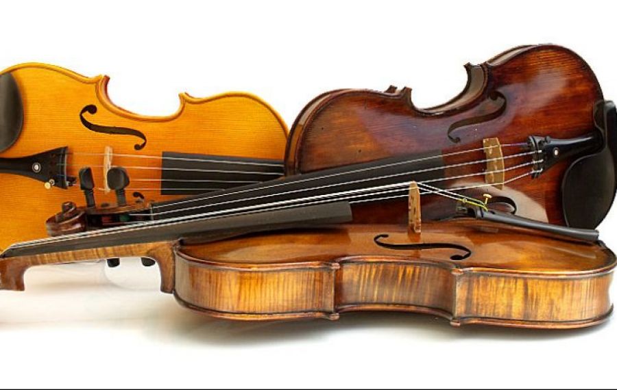 România, cel mai mare EXPORTATOR de viori din UE - Puterea.ro