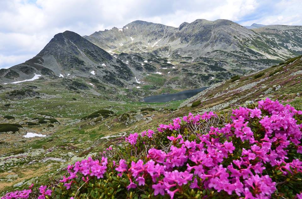 Azi e Ziua Europeană a Parcurilor Naţionale. Care e primul parc de ...