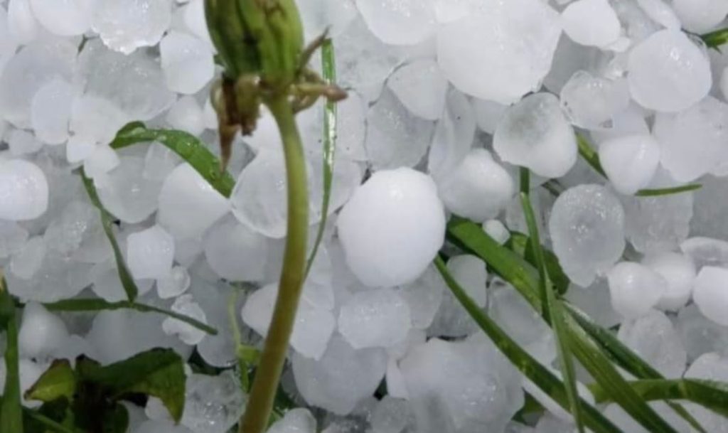 Vaslui. N-au vrut rachete antigridină de teamă că alungă ploaia, iar ...