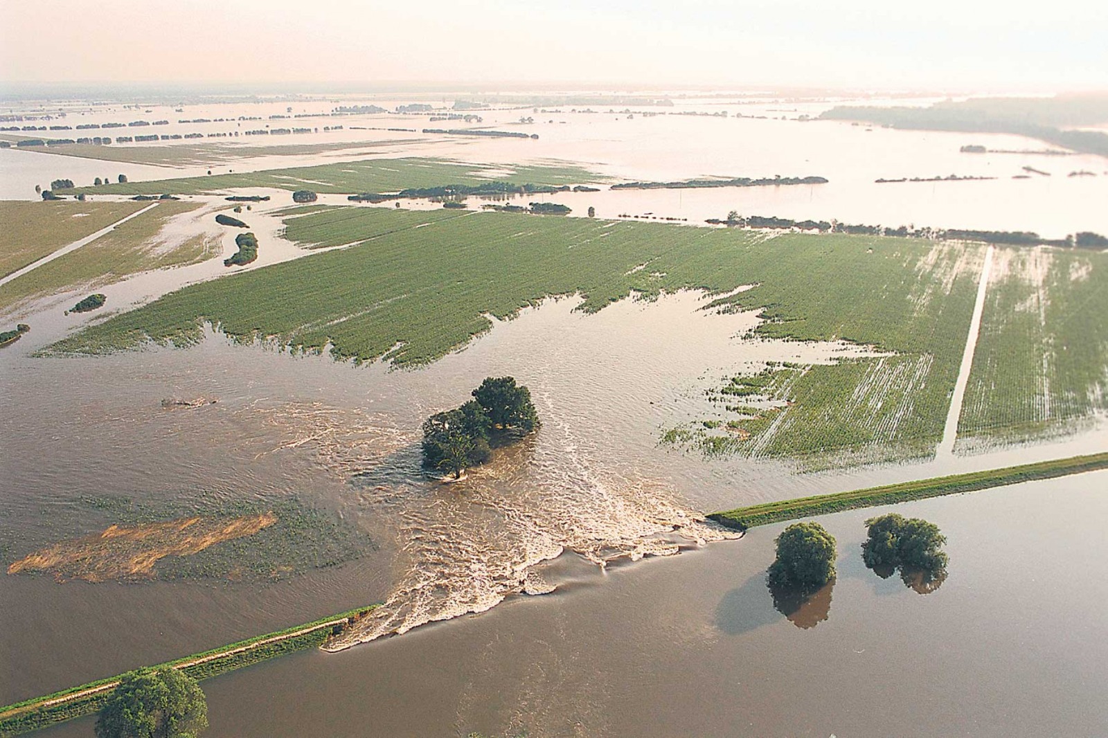 Proiectul internațional „Danube Floodplain”, o șansă de relansare a ...
