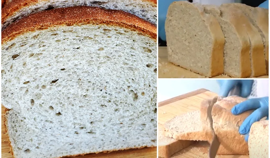 Ce gust are pâinea din făină de greieri - Puterea.ro