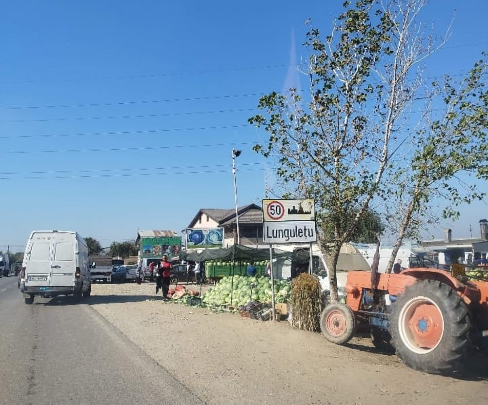 E jale la Lungulețu, oamenii nu mai vor să culeagă varza