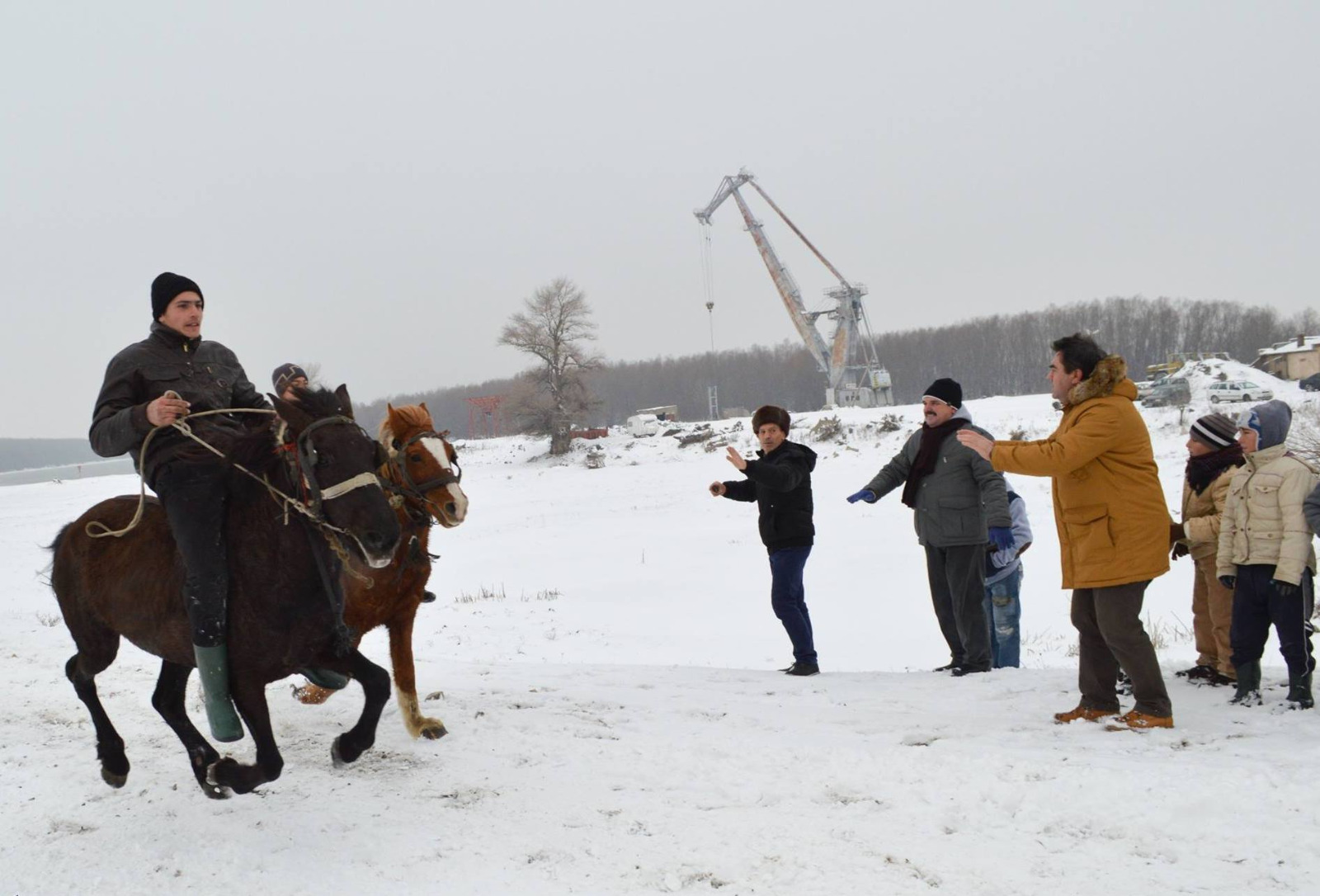 A luat amploare „Bobotezul Cailor”, o datină creștină preluată după un ...