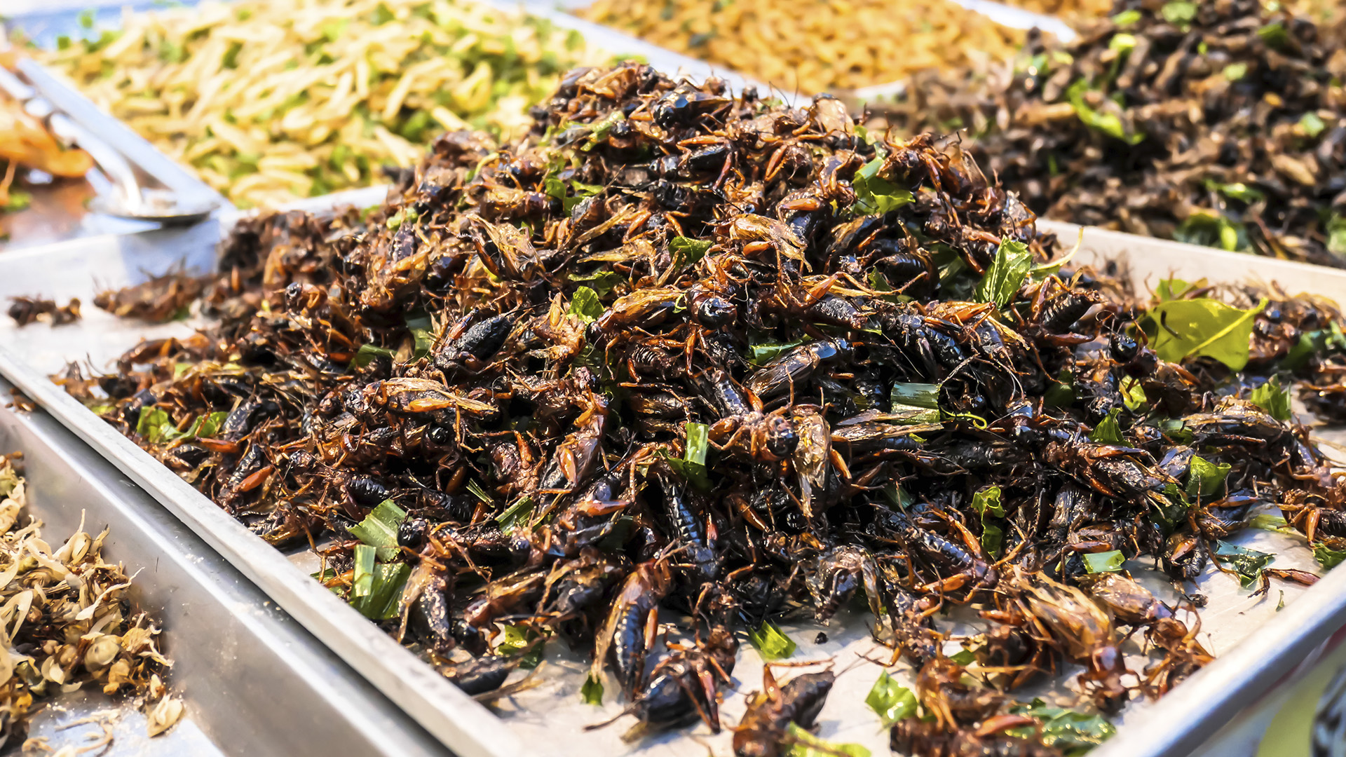 Consumul de insecte se extinde! Alte cereri așteaptă verdictul UE