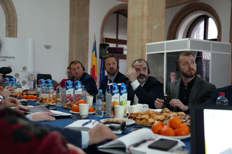 Audit extern la ANSVSA pe pestă porcină africană