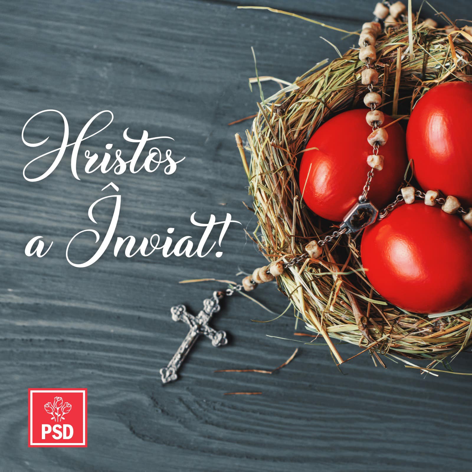 Iepurașul PSD a umplut cu felicitări pascale televiziunea finei lui ...