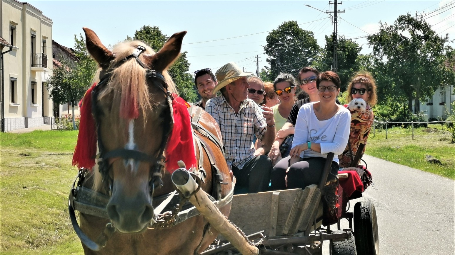 Interzis cu maşina pe uliţele din Viscri. Turiștii vor putea merge la ...