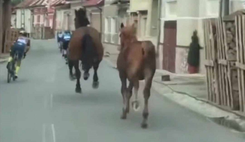 Doi cai au „concurat” la Turul Ciclist al Sibiului