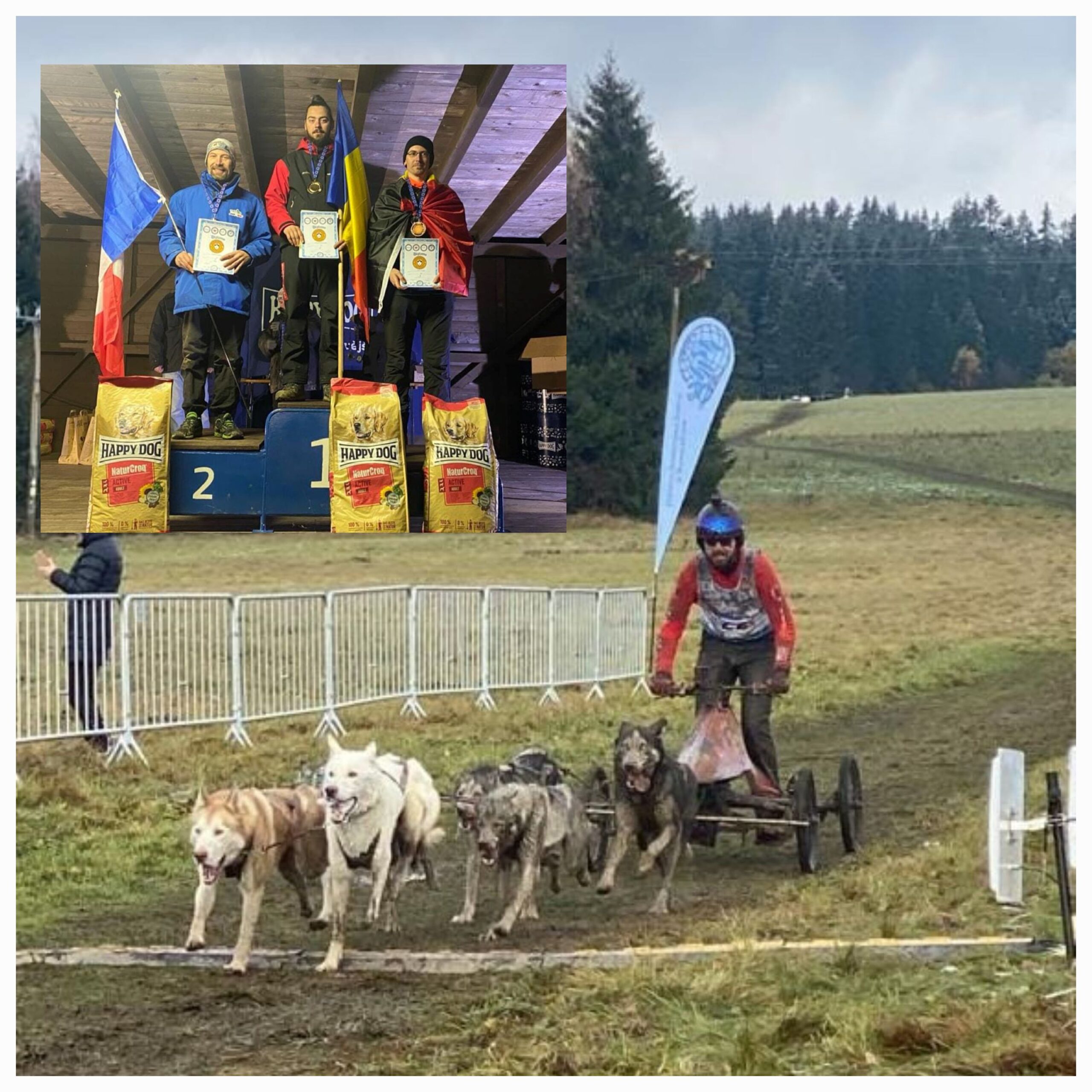 La Campionatul Mondial de carturi trase de câini România a câștigat ...