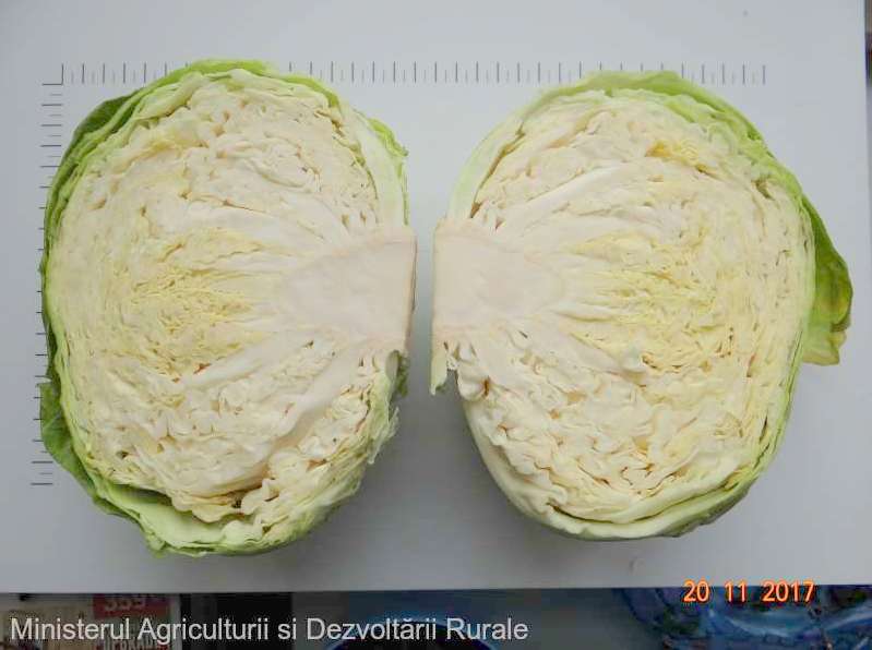 Arheologie Genetică. „Medalie de Aur” la „UGAL INVENT” pentru ...