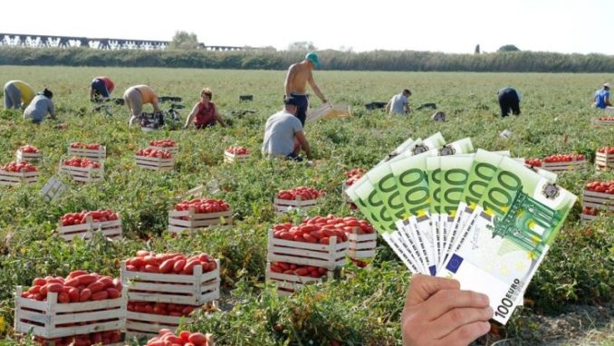 Care este județul cu cei mai mulți fermieri subvenționați de APIA