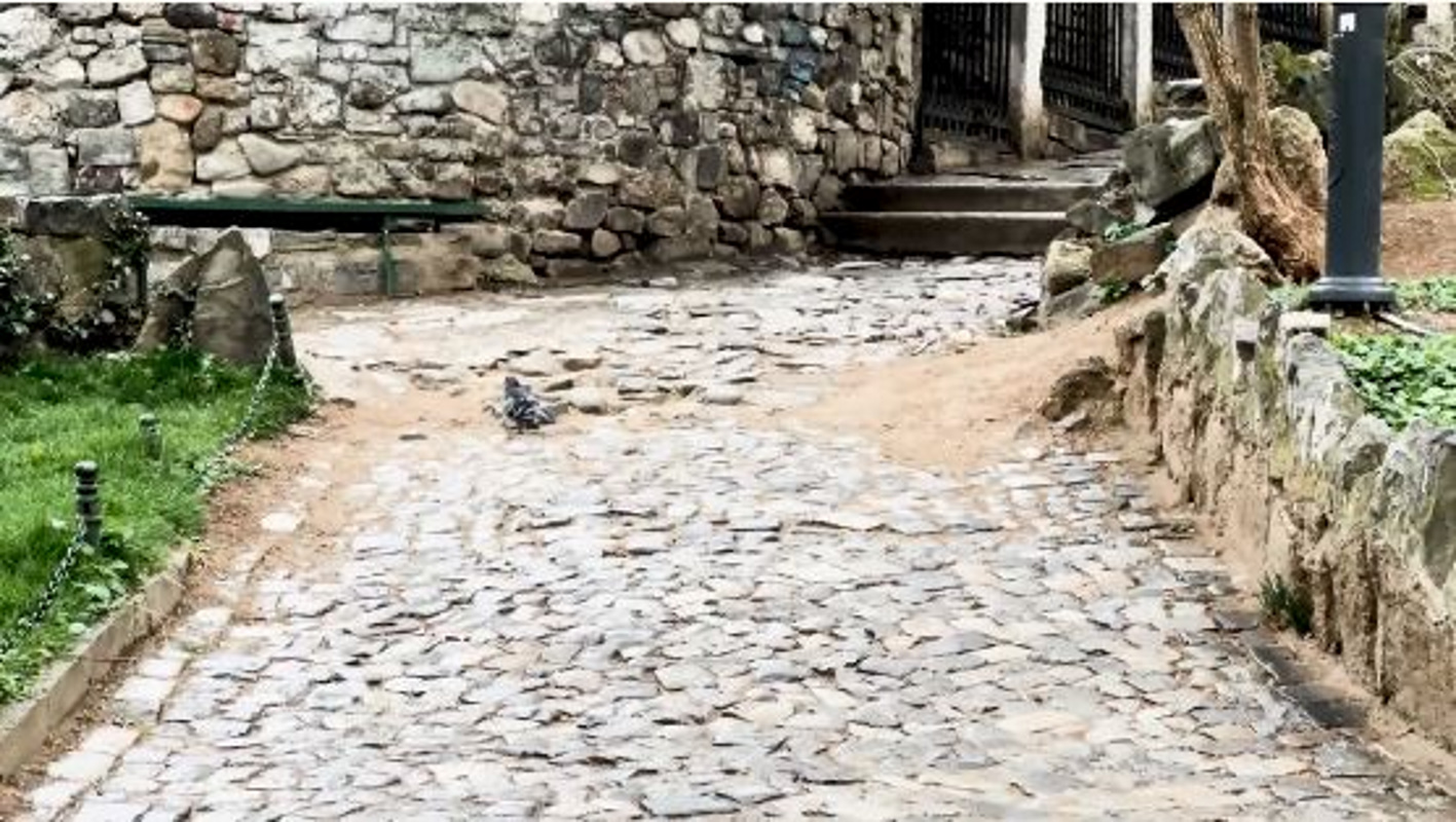 Piedone: Scrisoarea Bucureștiului uitat, plictisit și murdar