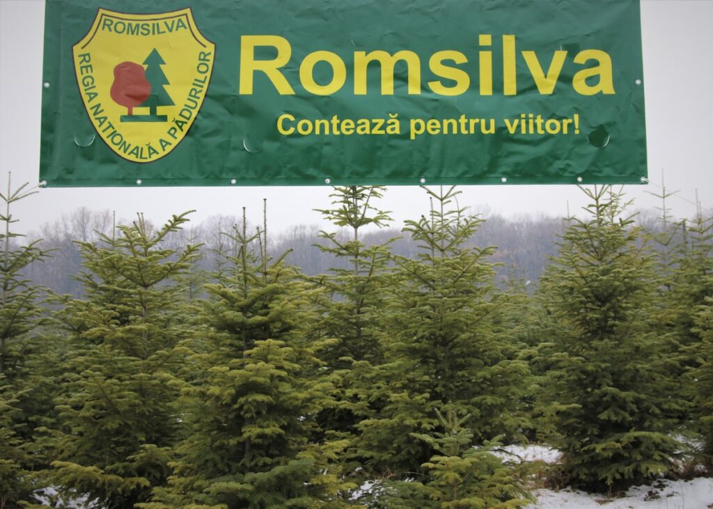 România: Țara bonusurilor uriașe la stat. Pomenile de la Romsilva – o ...