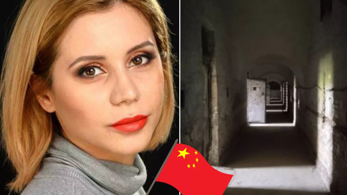 Apel umanitar în Parlament pentru Alina-Irina Apostol, românca ...