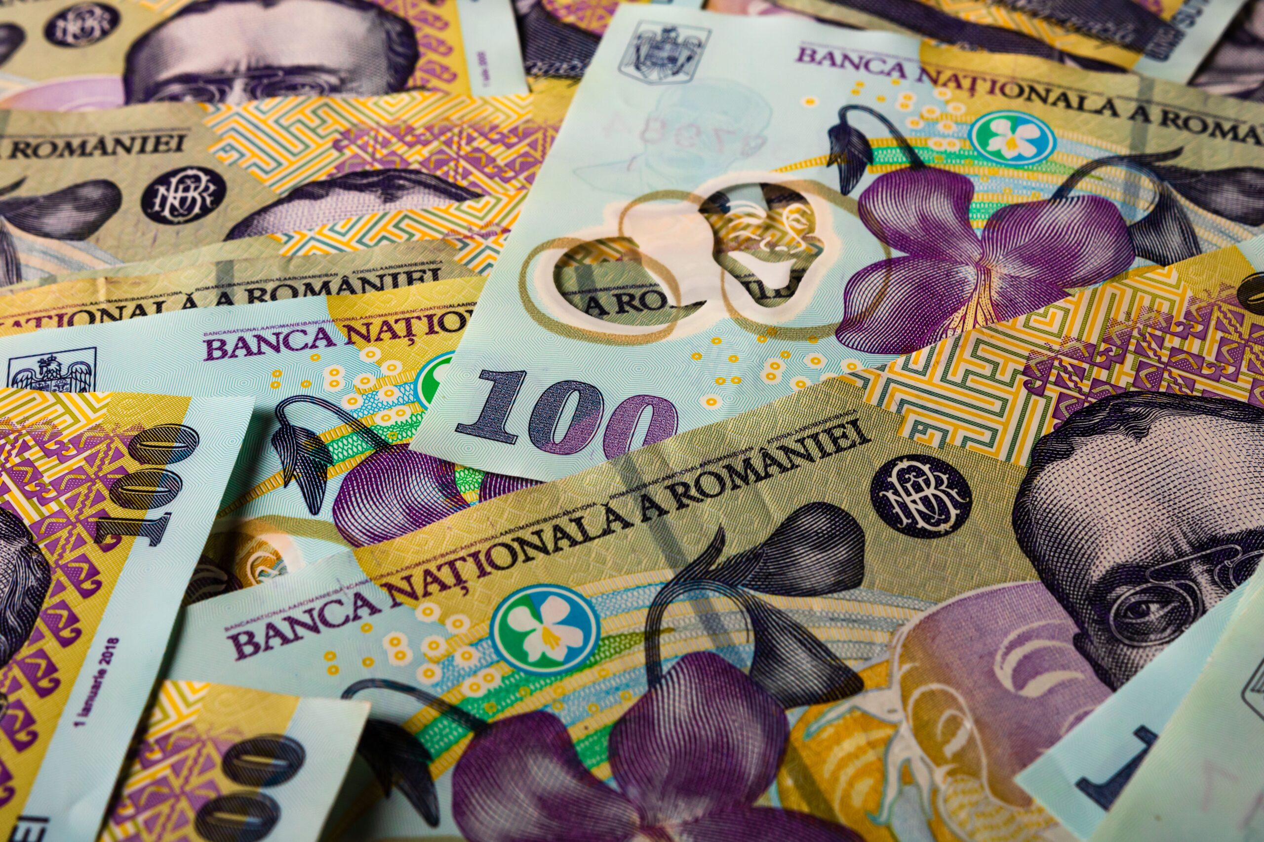 Ce categorie de români poate primi de la stat până la 12.000 de lei