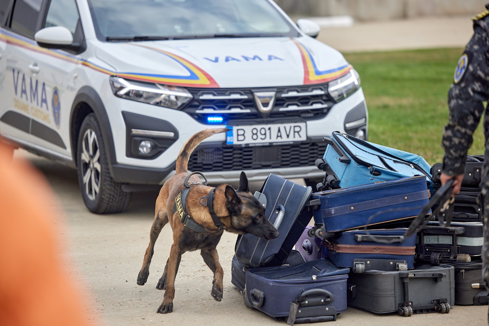 Un document guvernamental dezvăluie dezastrul de la Autoritatea Vamală ...