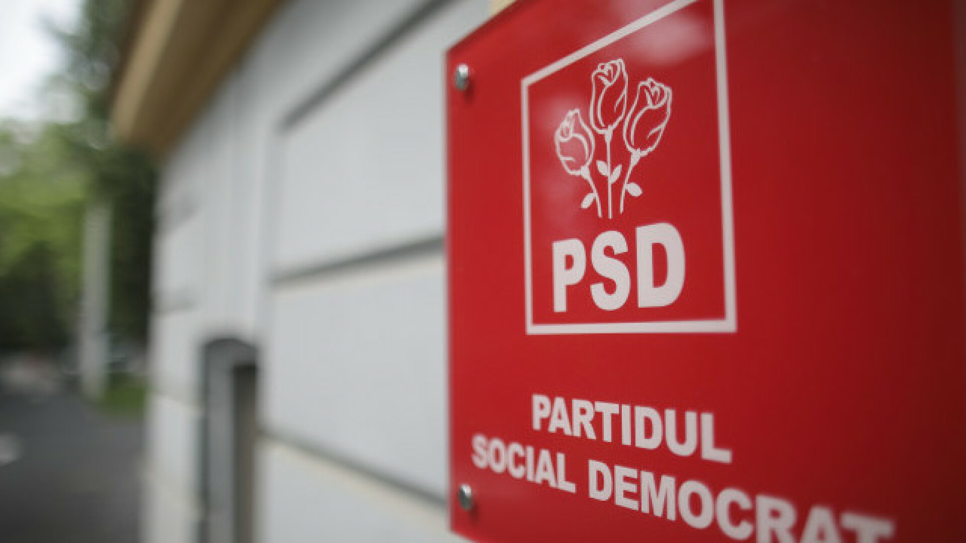 PSD Neamț și-a stabilit candidații pentru Parlament: Adrian Păduraru și ...