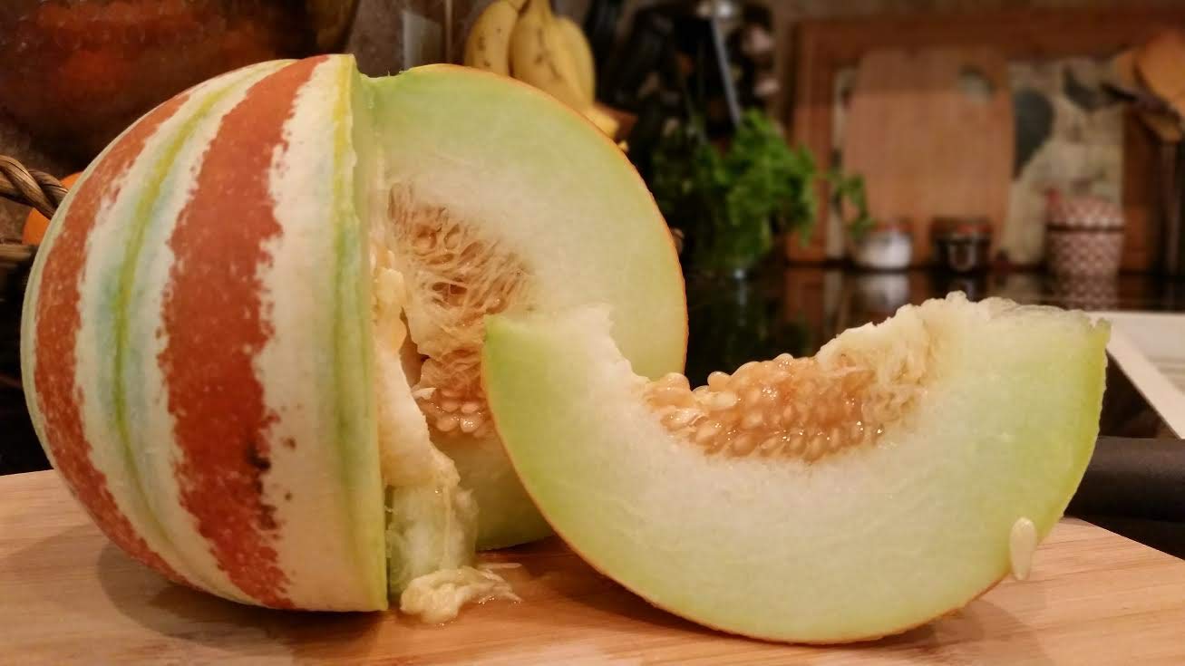 Pepenele Kajari: deliciul exotic din India aclimatizat la Buzău!