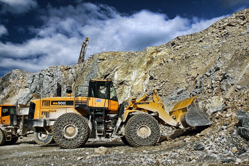 Exploatările din Tulcea blocate de păsări inexistente: un obstacol ...