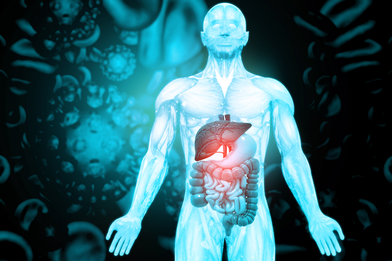 Cum un organ bolnav poate accelera îmbătrânirea altor organe