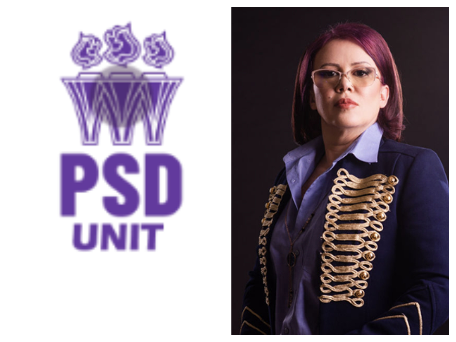 Cine este PSDU, partidul care a „furat” din voturile PSD