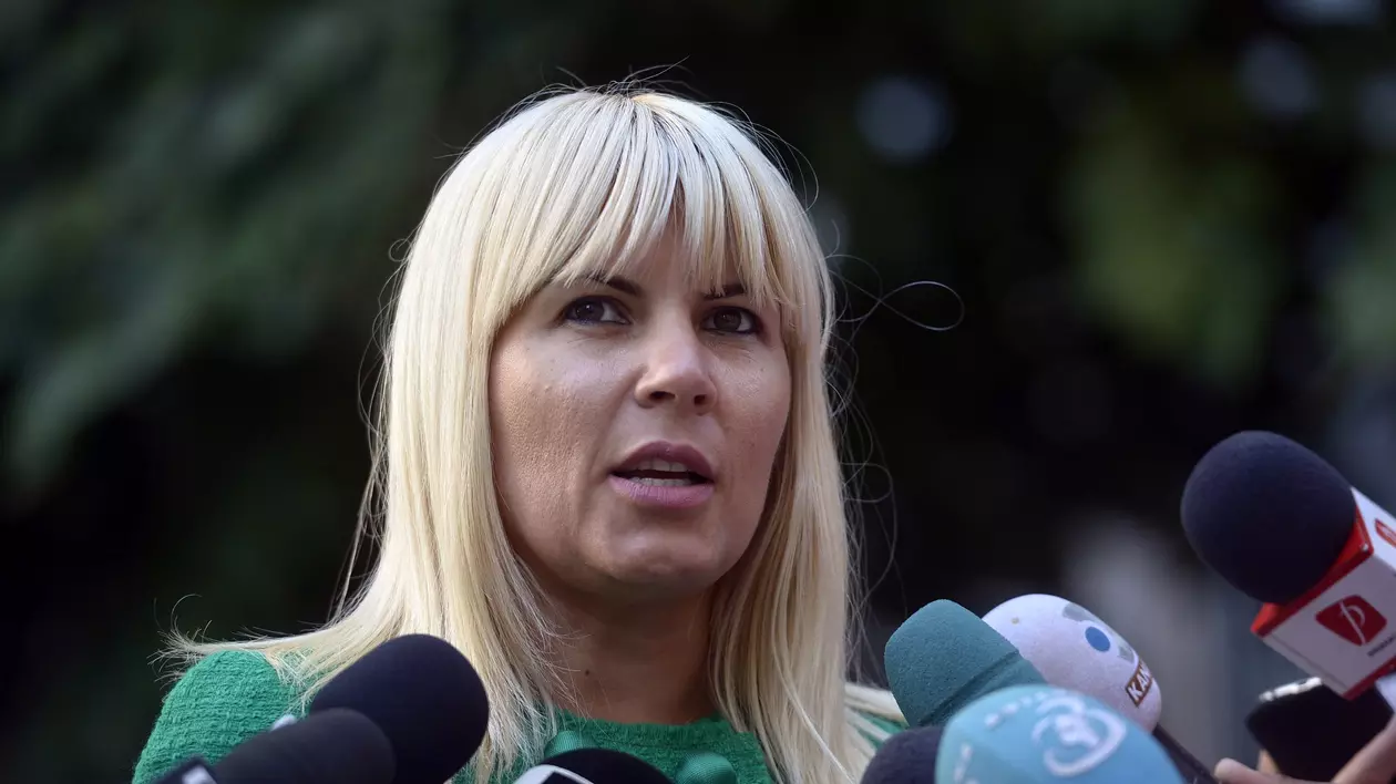 Motivul pentru care Elena Udrea poate pleca acasă. Decizia judecătorilor