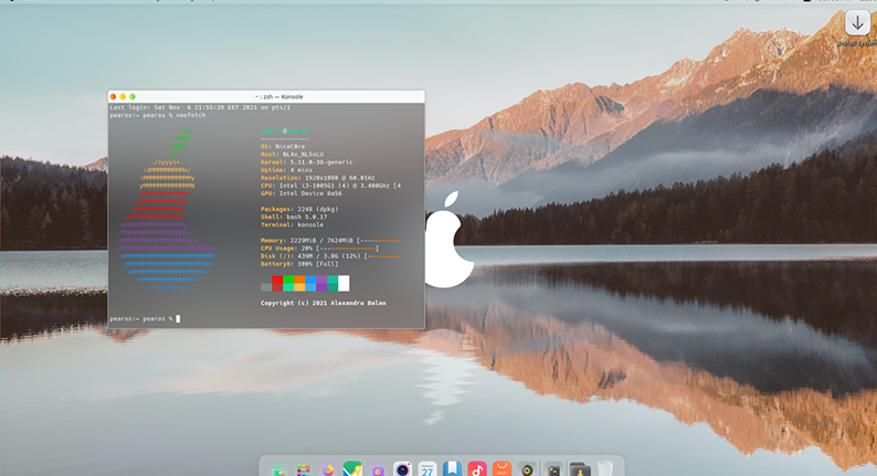 Doi tineri români reinventează tehnologia. Povestea sistemului de ...