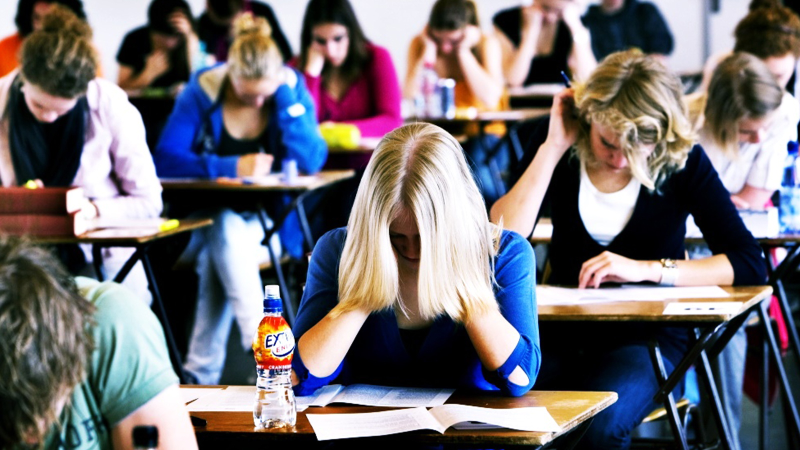 Găinile „prezic” subiectele la BAC