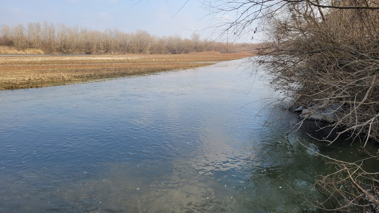 Poluare pe un important râu din România. Autorităţile, în alertă după ...