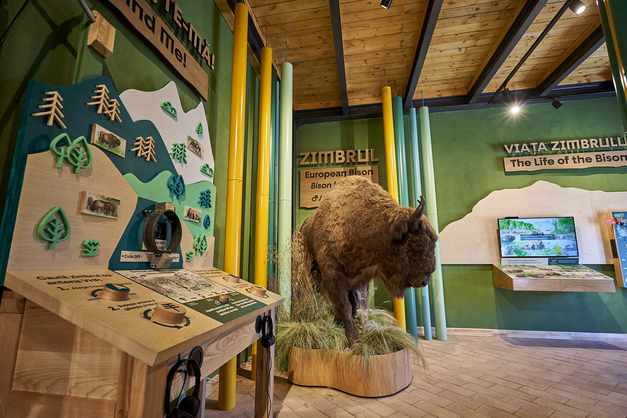 În România: Sumă colosală prin cel mai mare proiect de mediu