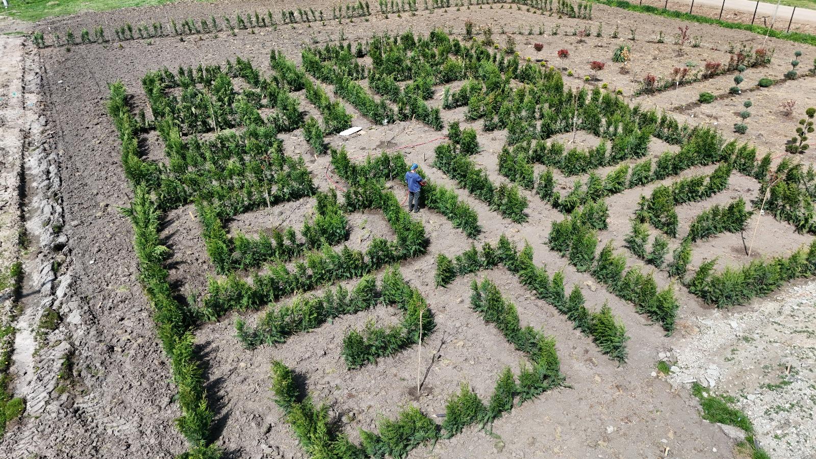 Labirint verde pentru cei mici, creat într-o comună din Dolj - Puterea.ro